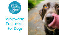 Whipworm Treatment For Dogs | Prana Pets