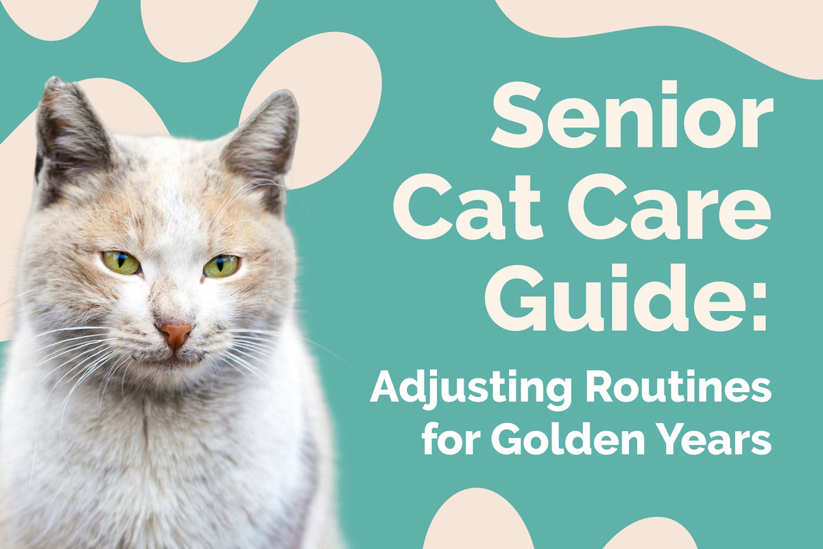 Senior Cat Care Guide: Adjusting Routines for Golden Years | Prana Pets