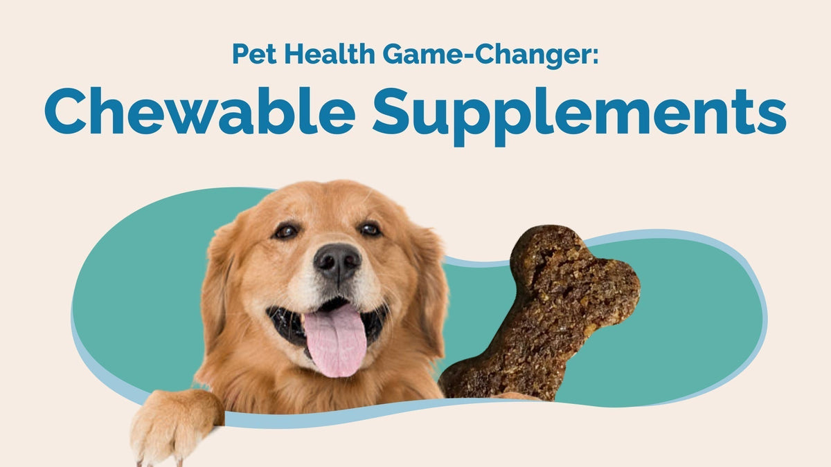 Why Chewable Supplements Are a Game-Changer for Pet Health | Prana Pets
