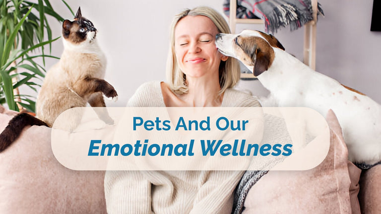 Pets and Mental Health: How Our Furry Friends Help Us Heal | Prana Pets