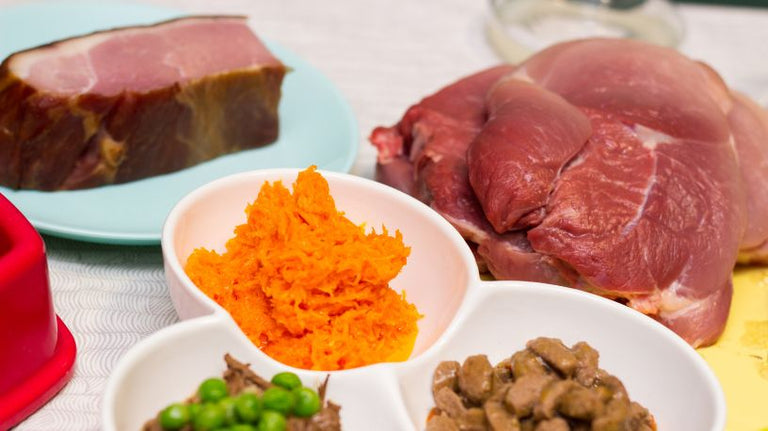 Dog Supplements for Homemade Dog Food: Which Are Best? | Prana Pets