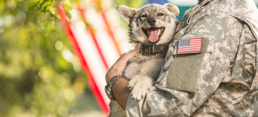 Celebrating K9 Veterans Day: Honoring Our Furry Heroes | Prana Pets