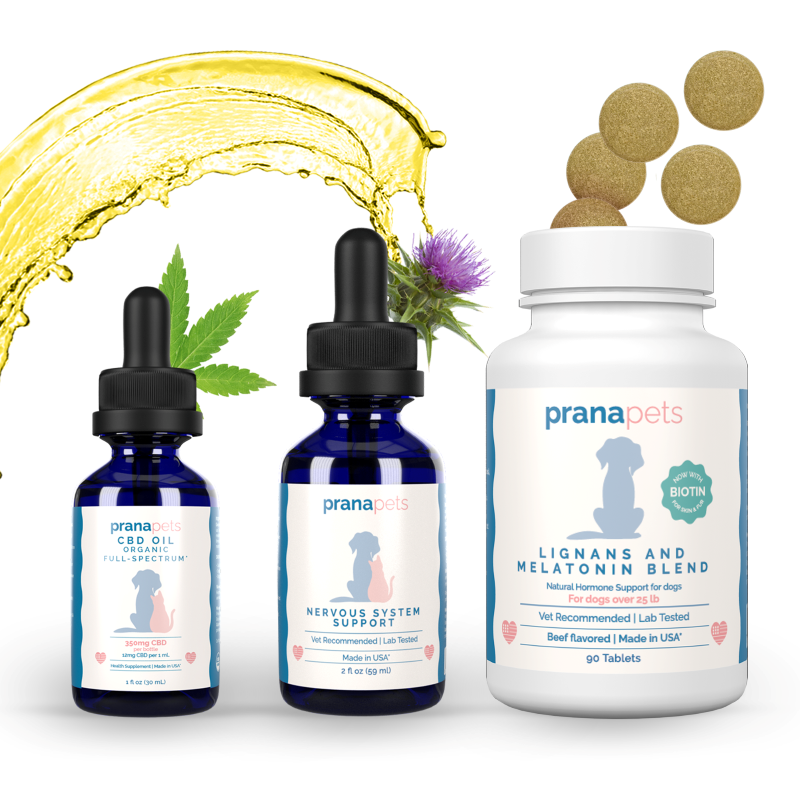 Calming Supplements for Dogs - Prana Pets