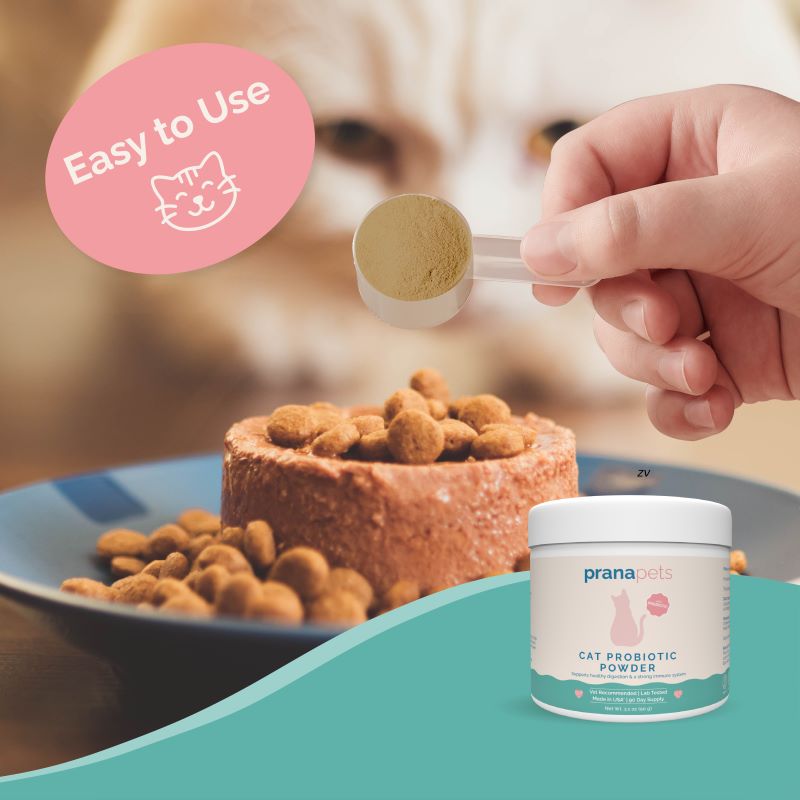 Cat Probiotic Powder - Improve Digestive Health | Prana Pets