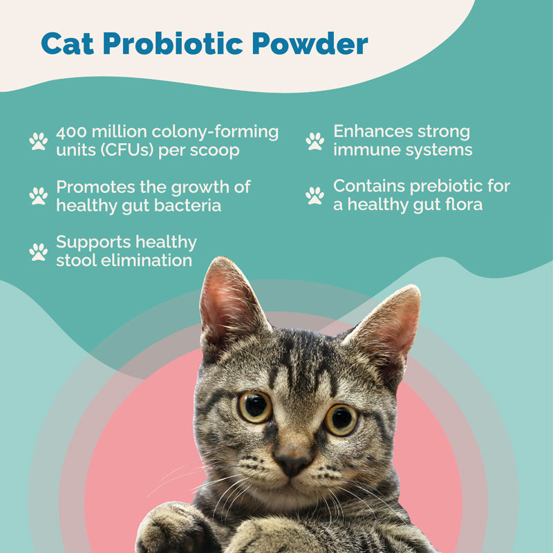 Cat Probiotic Powder - Improve Digestive Health | Prana Pets
