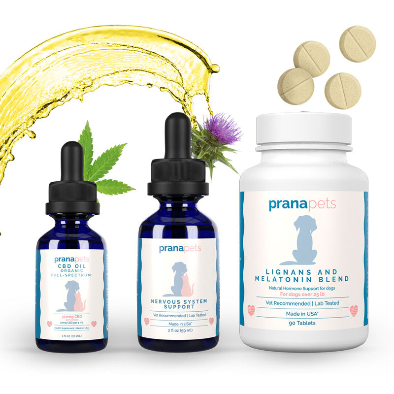 Calming Supplements for Dogs - Prana Pets