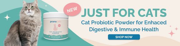 Holistic Pet Supplements | Prana Pets