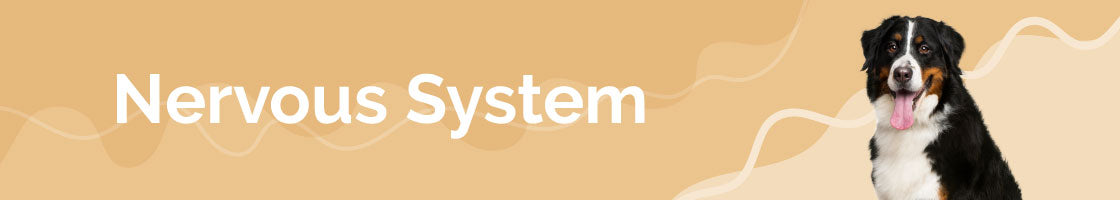 Brain & Nervous System Support for Dogs from Prana Pets