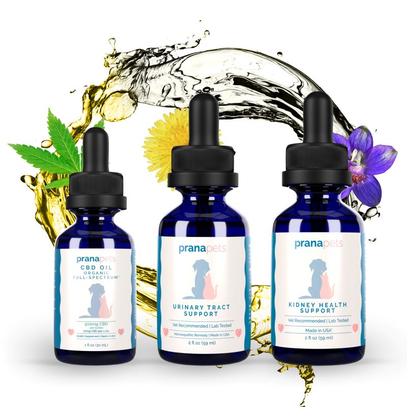 Urinary & Kidney Supplements for Cats - Prana Pets