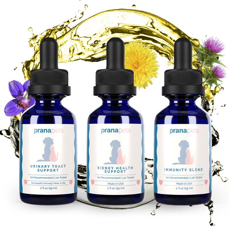 Complete Bladder Immunity Regimen | Prana Pets