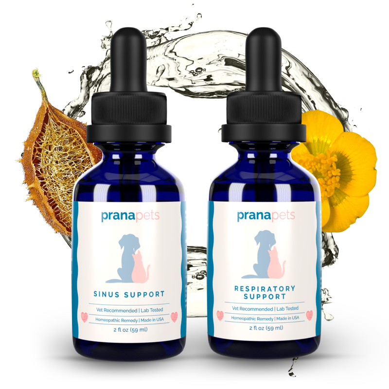 Breathing & Respiratory Supplements for Dogs - Prana Pets
